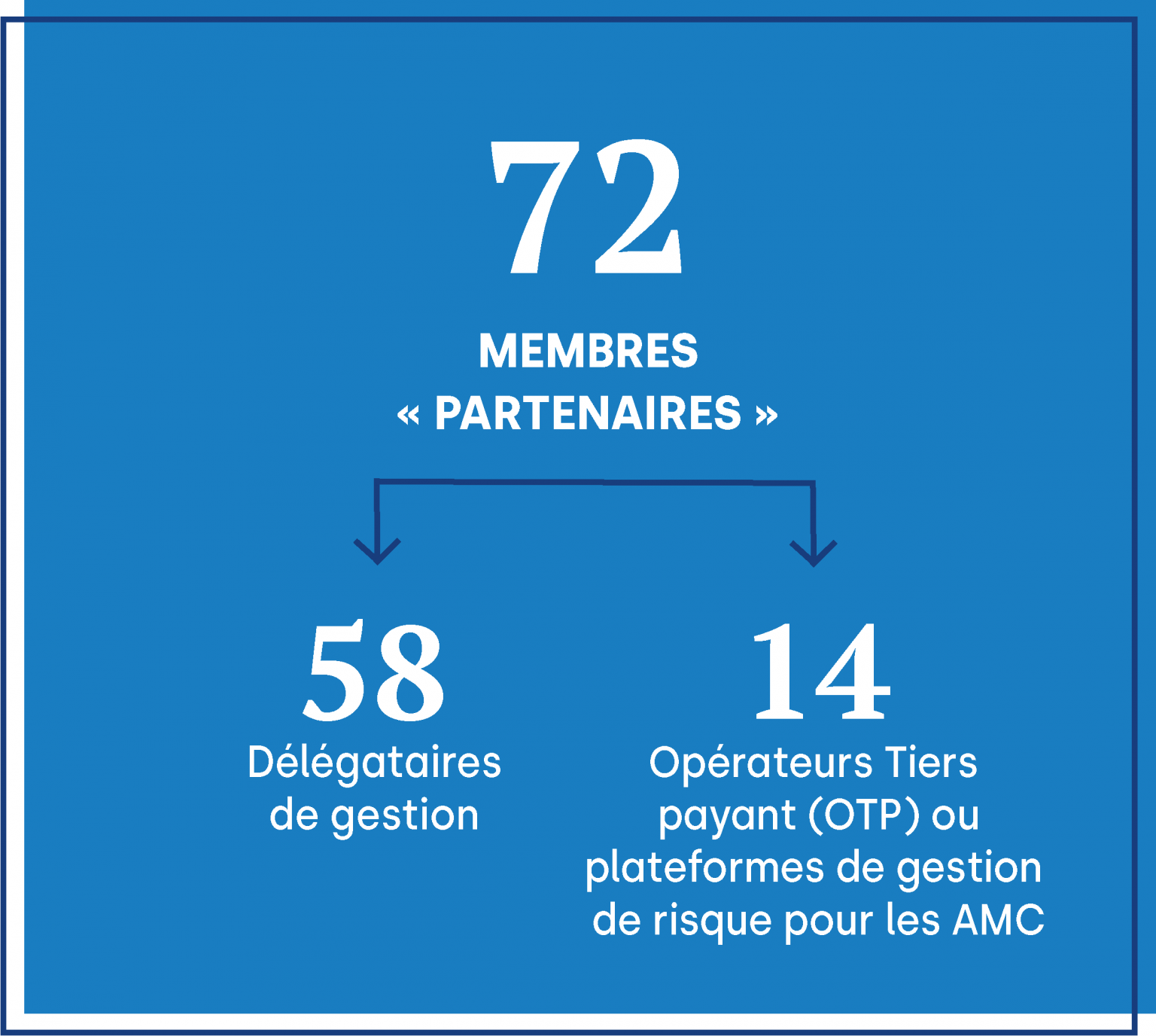 Nos membres & partenaires – Inter AMC